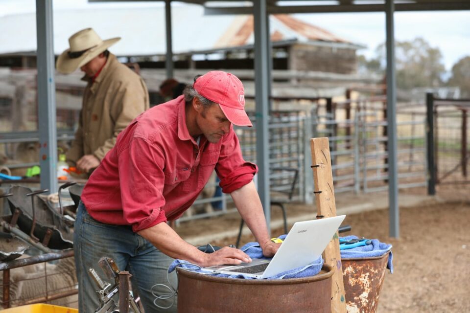 Education – Mumblebone