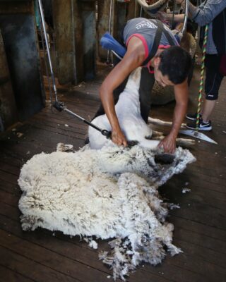 Education – Mumblebone