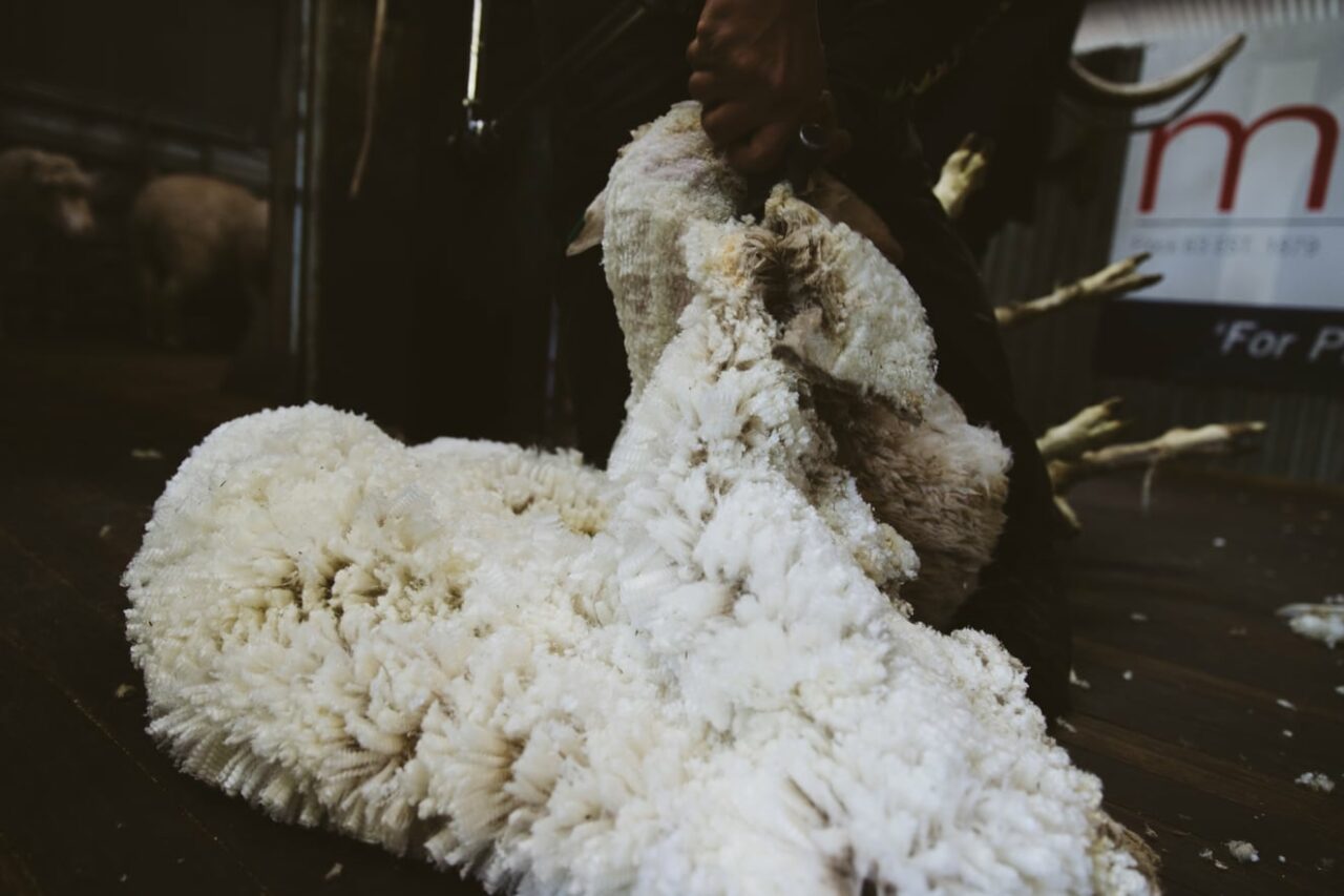 Education – Mumblebone