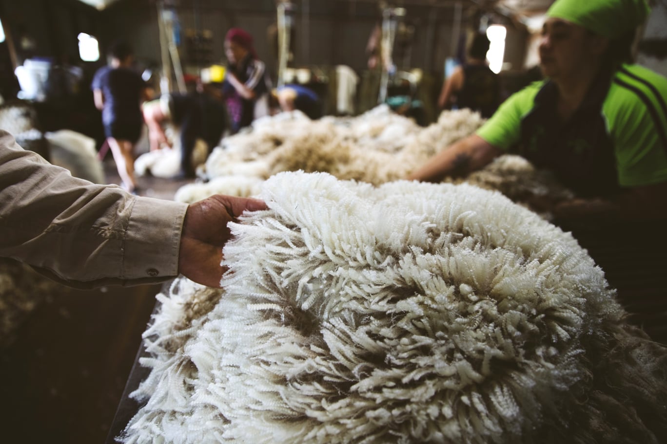 Education – Mumblebone